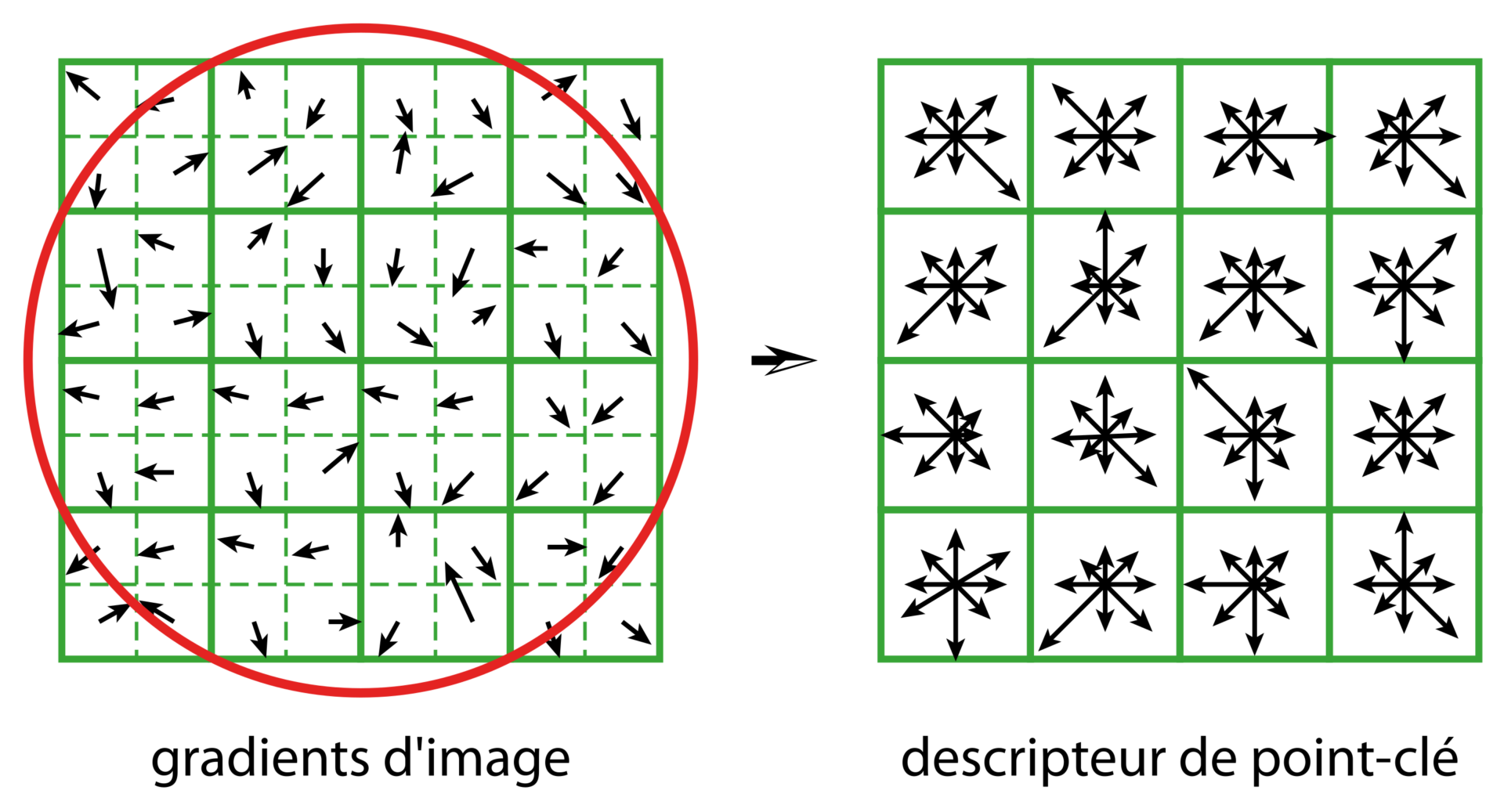 Segmenter Des Documents Sans Processus Dapprentissage En Utilisant Les Algorithmes De Détection